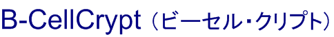 B-CellCrypt Mate：Excelセル領域暗号・復号